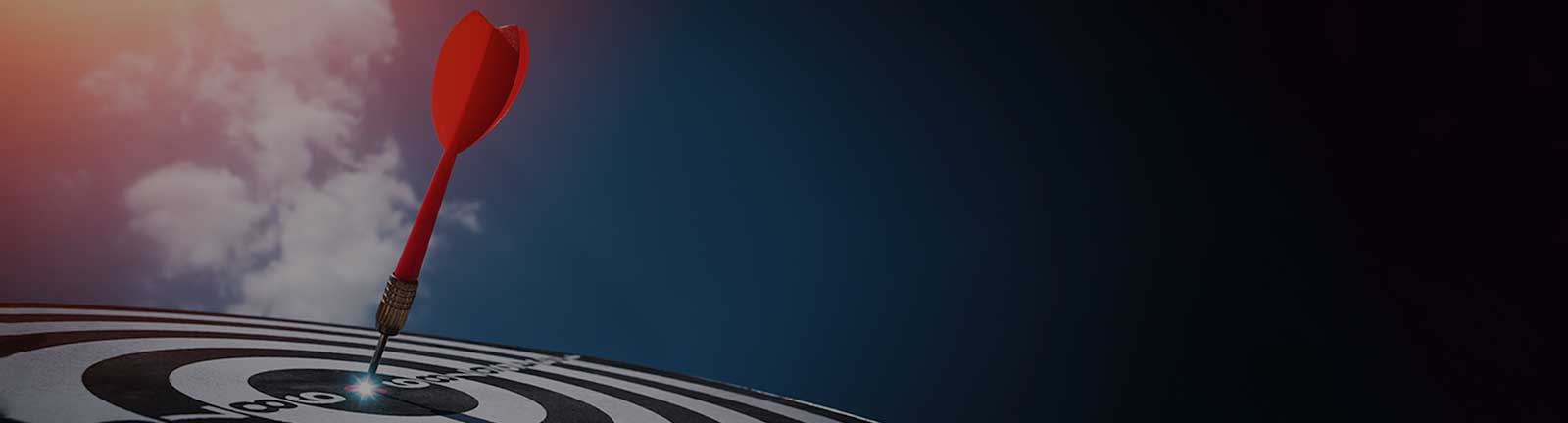 Case study – Comprehensive lead scoring solution for a mid-size global ...