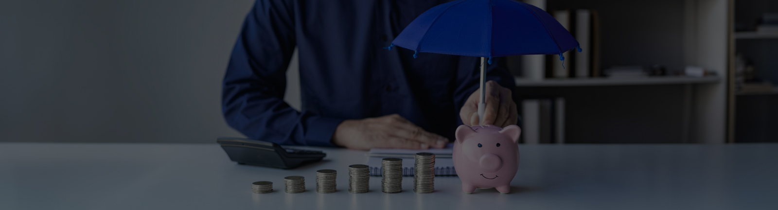 Model enhancement support for US-based asset manager | Acuity Knowledge ...