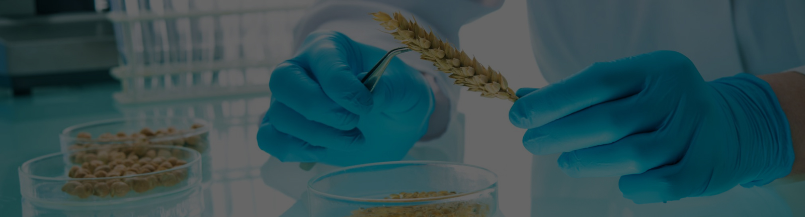 Enhancing Food Safety with Advanced Data Metrics | Acuity Knowledge ...